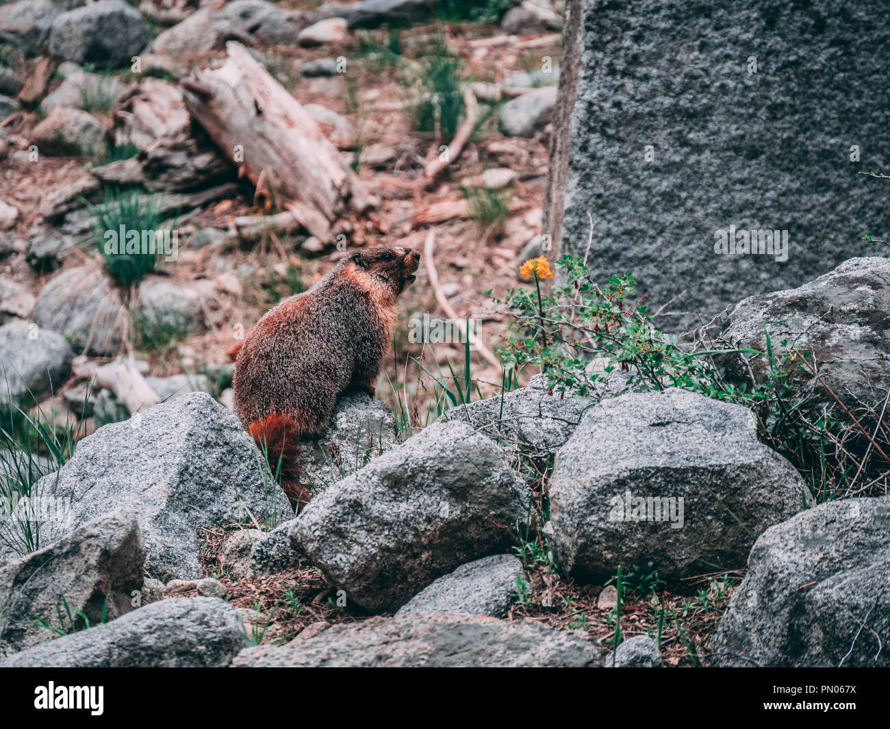 Giant rocks hi-res stock photography and images - Alamy