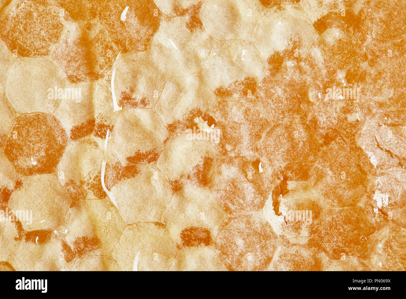 full frame of beeswax with honey as background Stock Photo - Alamy