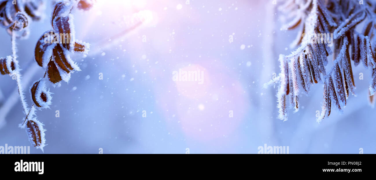Frozen snowy trees hi-res stock photography and images - Alamy