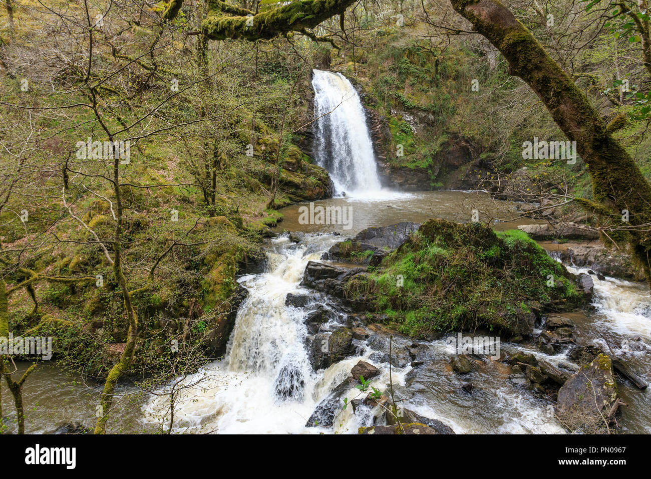 Murel hi-res stock photography and images - Alamy