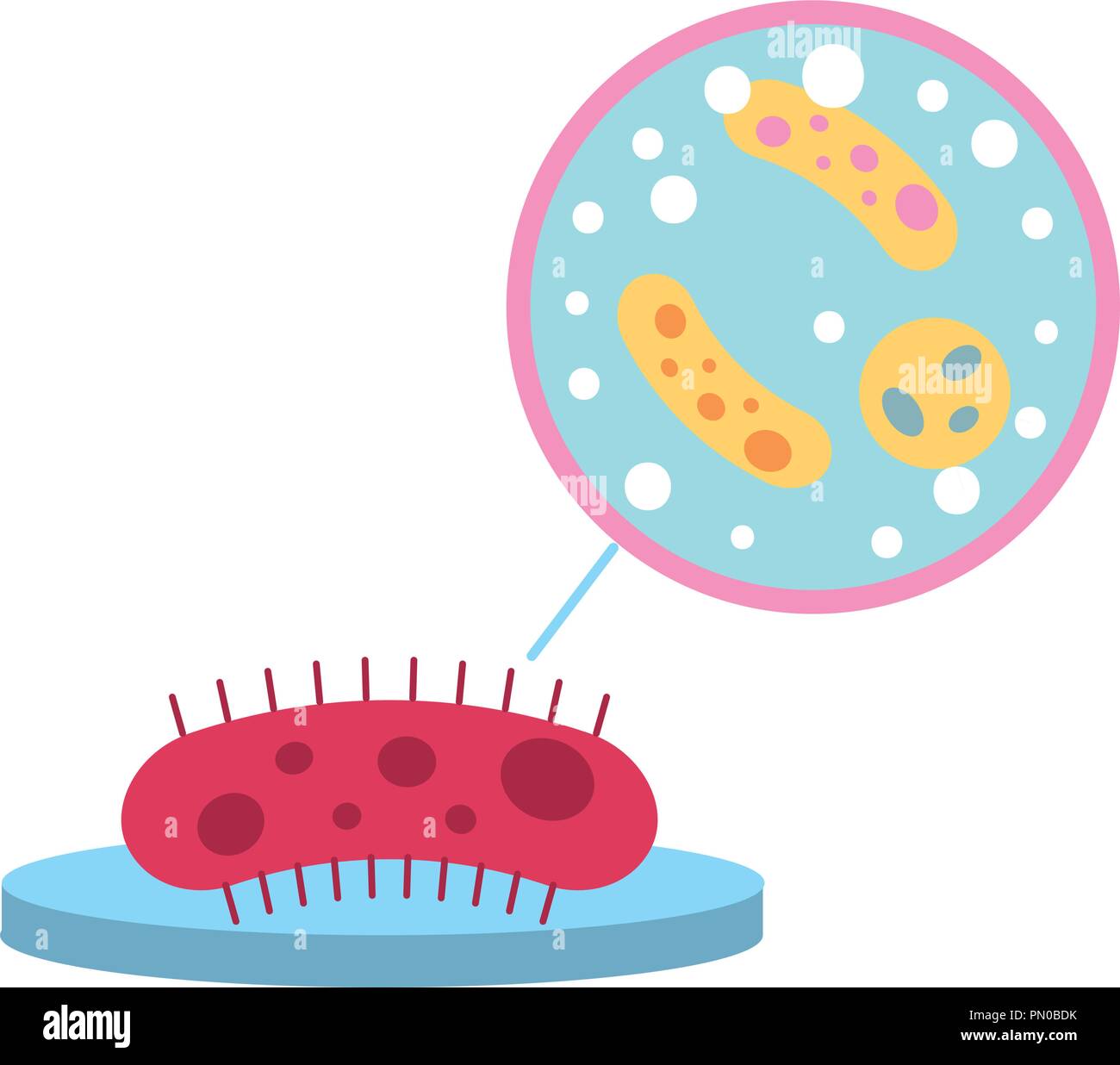 chemistry laboratory petri dish bacteries search Stock Vector Image ...