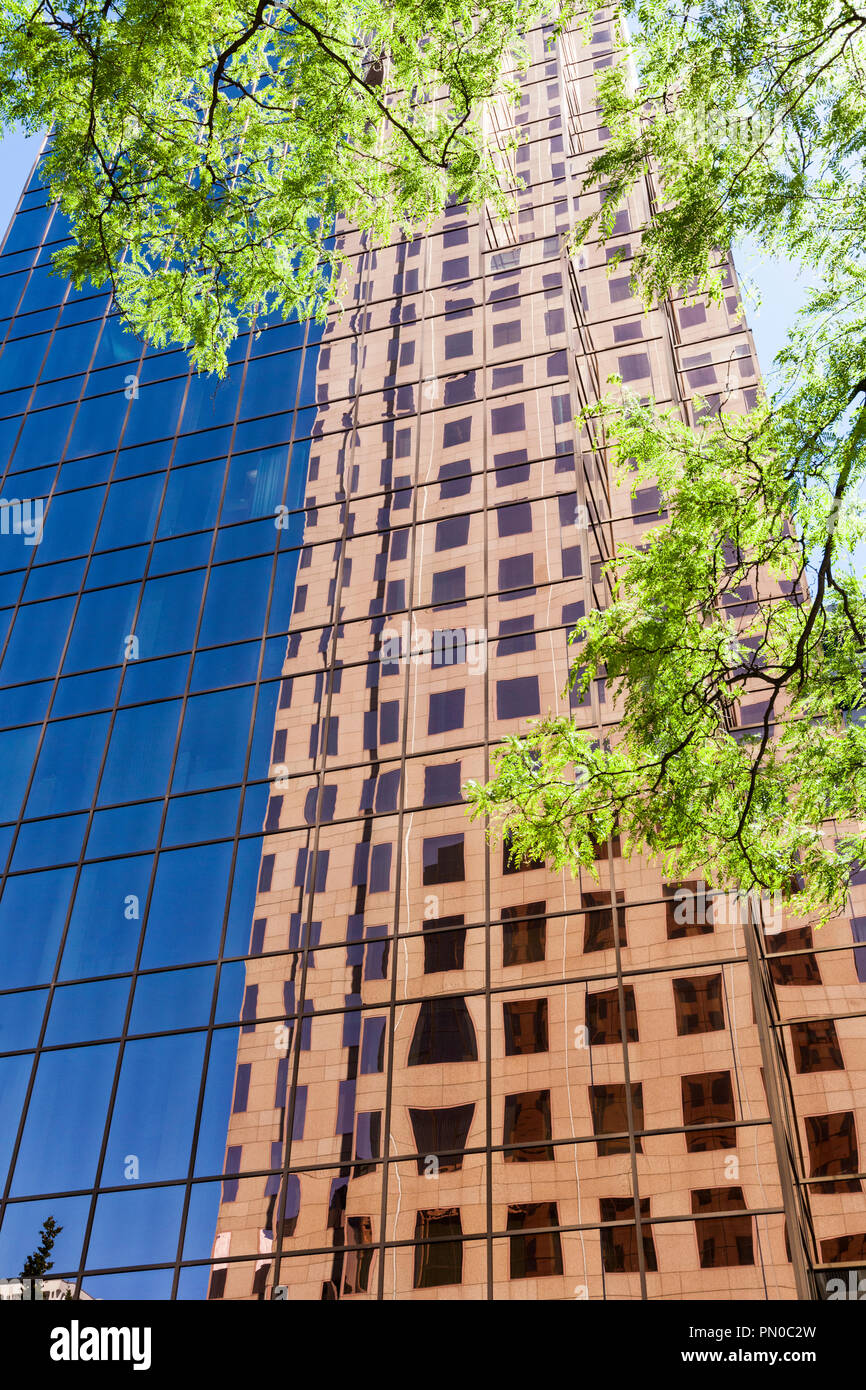 High rise buildings with trees and sun hi-res stock photography and ...