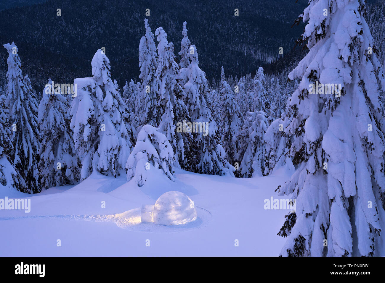 Snow igloo. Winter in the mountains. Evening Landscape with shelter for ...