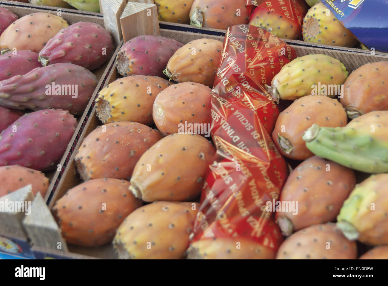 Prickly pears of India 2 Stock Photo - Alamy