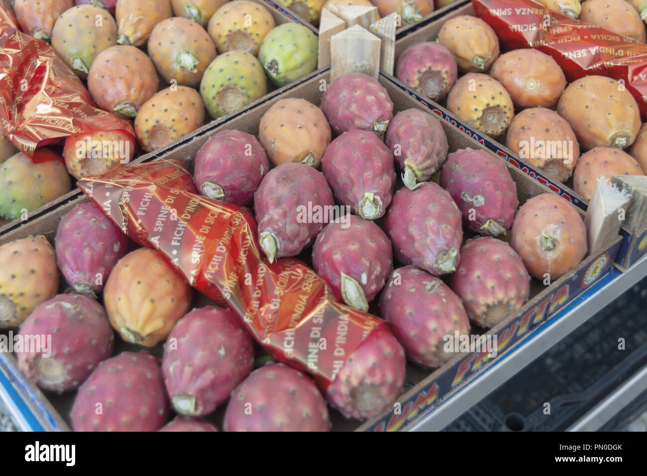Prickly pears of India 3 Stock Photo - Alamy