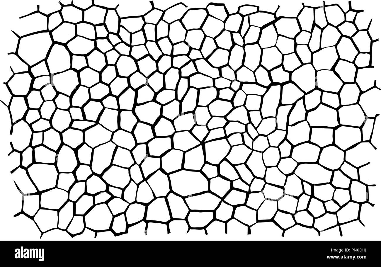 Stone background texture Stock Vector Images - Alamy