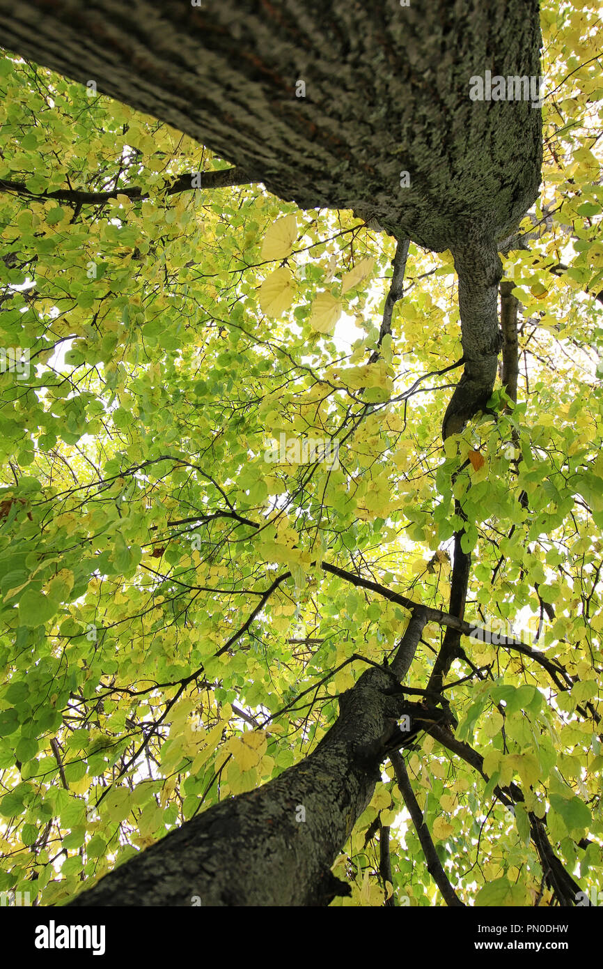Children on the street play Stock Photo - Alamy