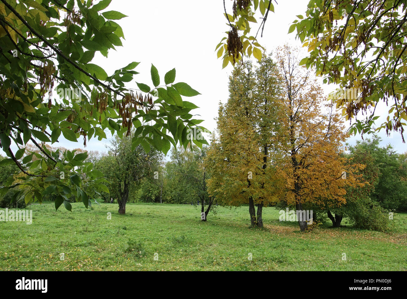 Children on the street play Stock Photo - Alamy