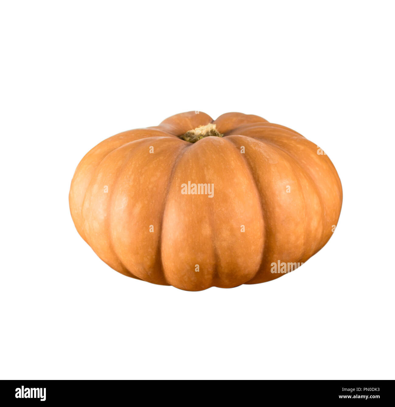 Sideview of single pumpkin isolated in white background Stock Photo - Alamy