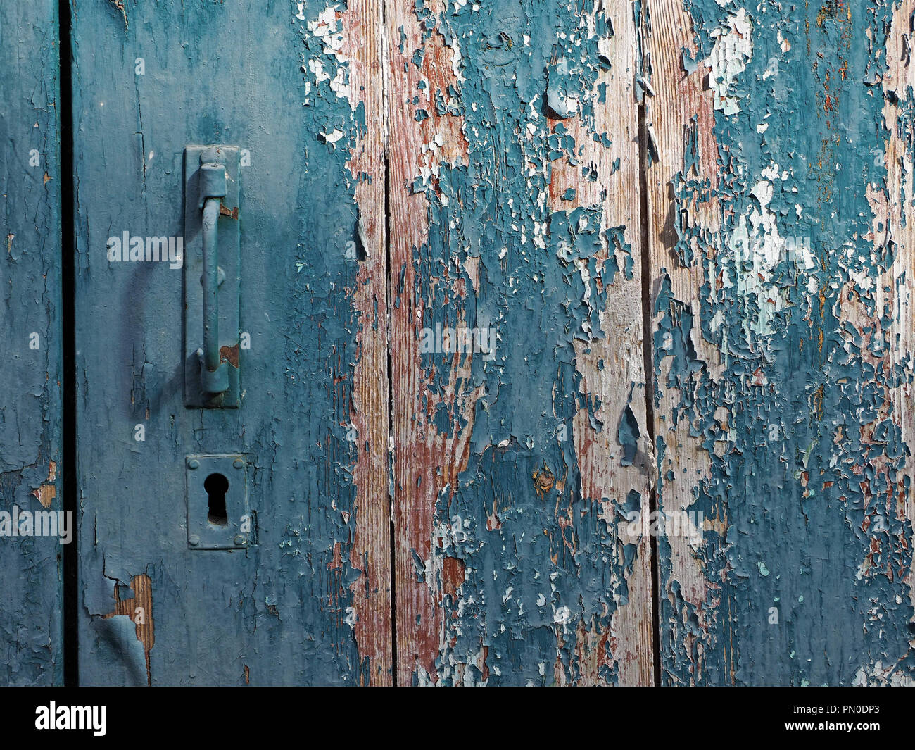 detail of worn and peeling blue paint on old timber door with handle ...