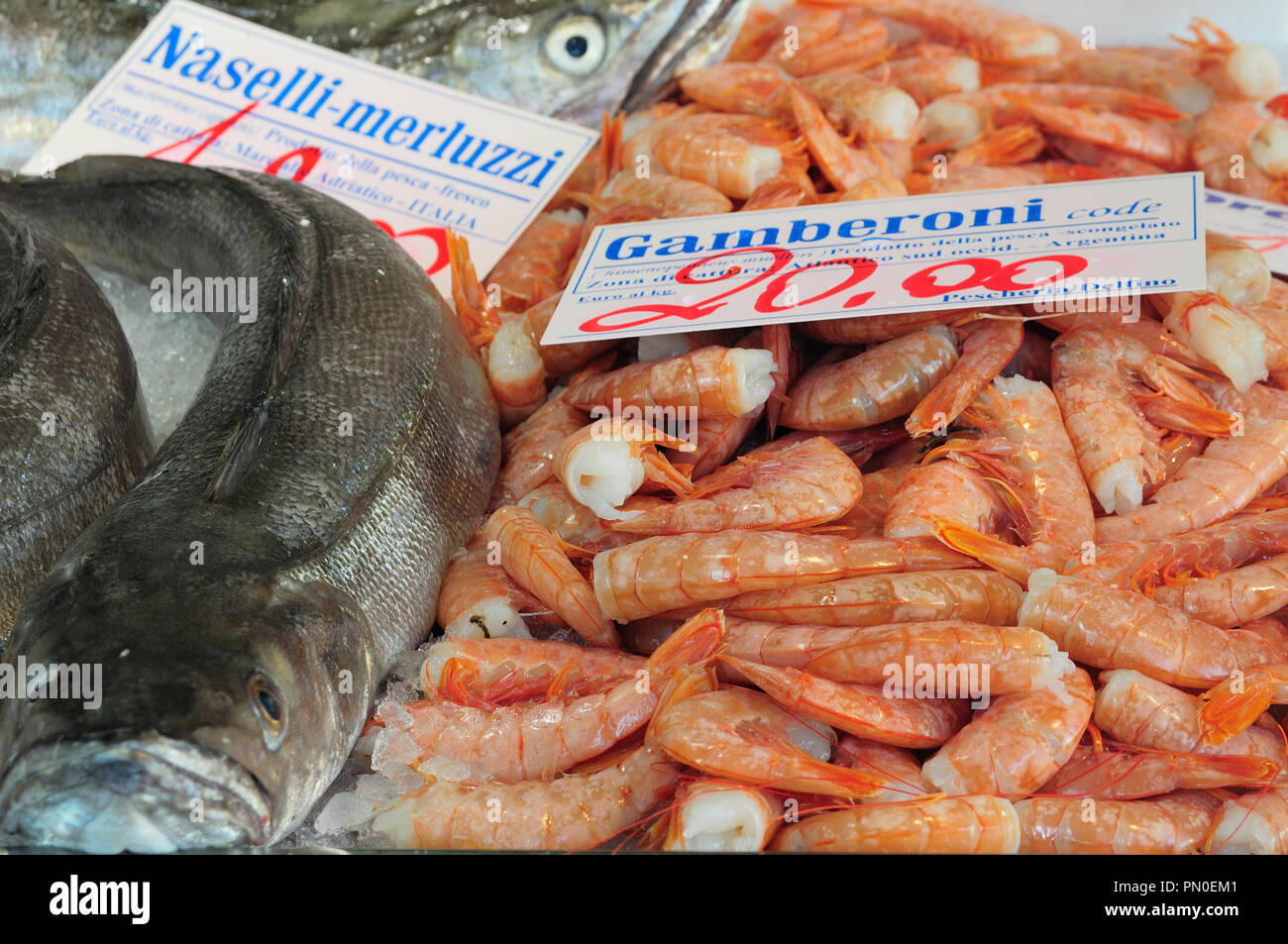 Italy, Veneto, Treviso, fish market, cod & prawns for sell Stock Photo ...