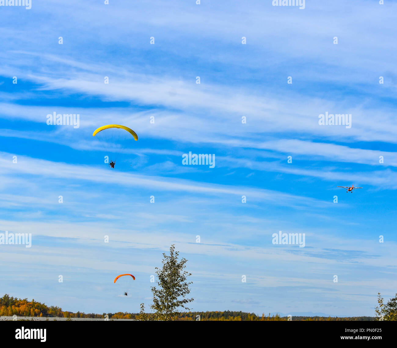 Flying floating float trees hi-res stock photography and images - Alamy