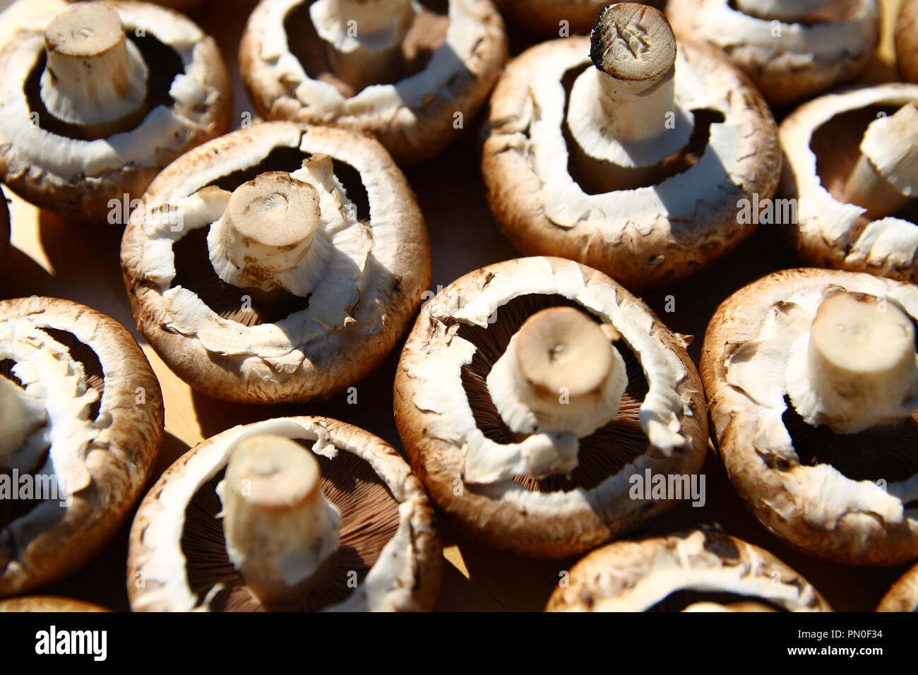 Food: Fresh champignons Stock Photo - Alamy