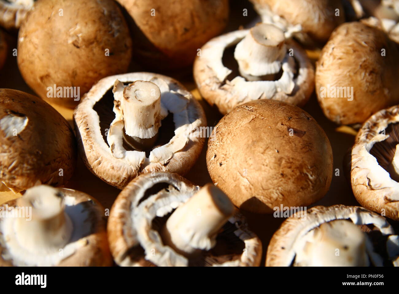 Food: Fresh champignons Stock Photo - Alamy