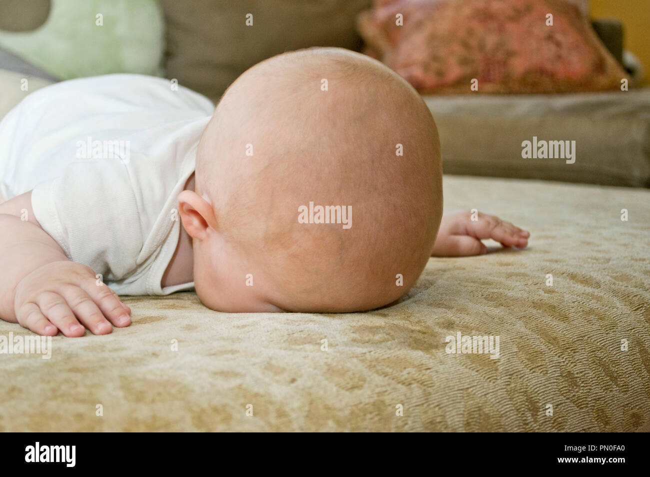 A six month old baby attempting to push up, but failing and landing on ...