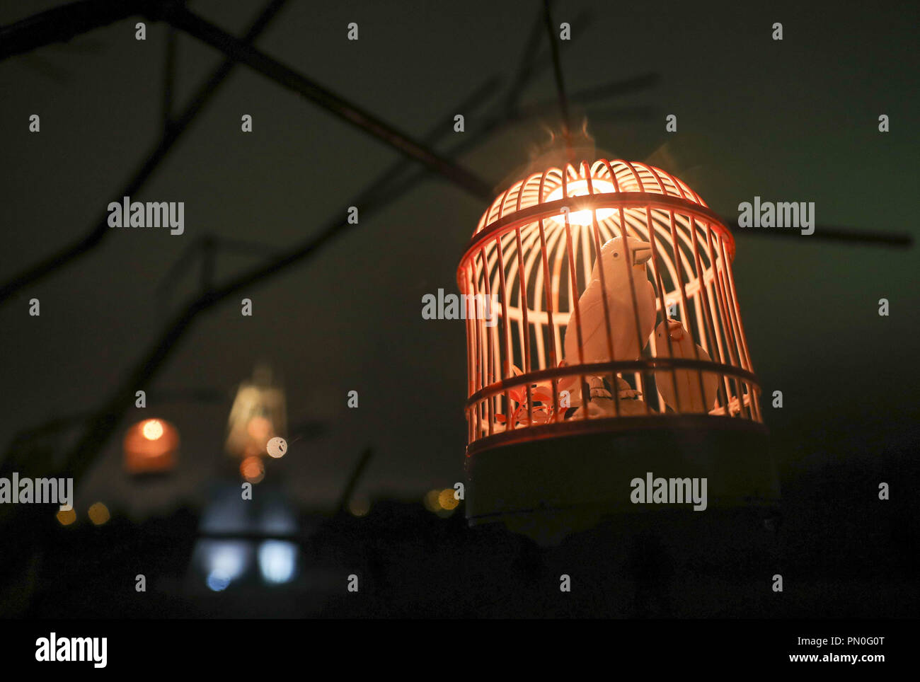 The cage ride hi-res stock photography and images - Alamy