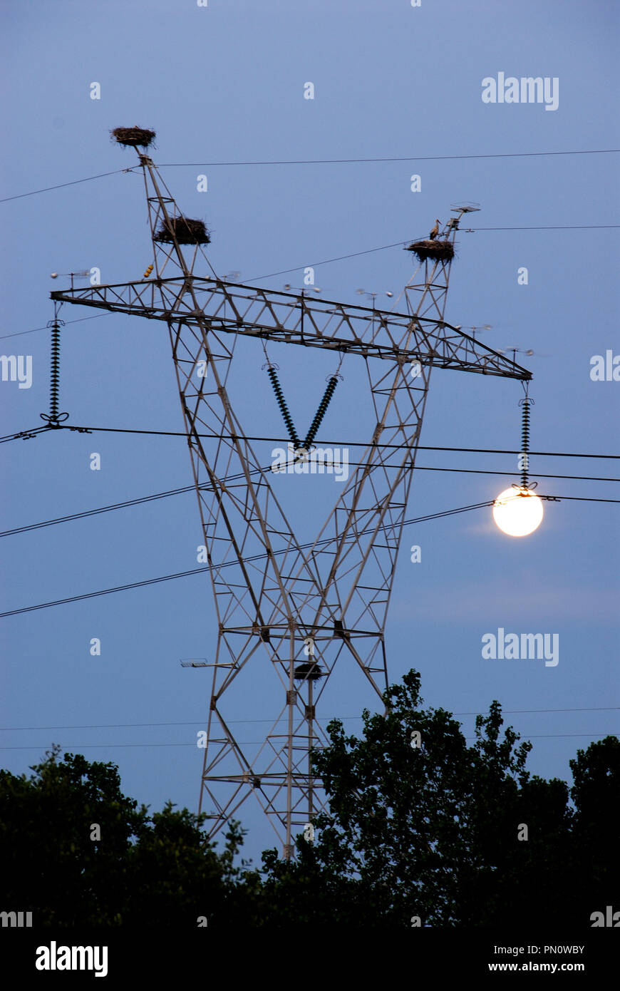 A silhouette of electricity pylon. Herdade da Barroca d' Alva ...