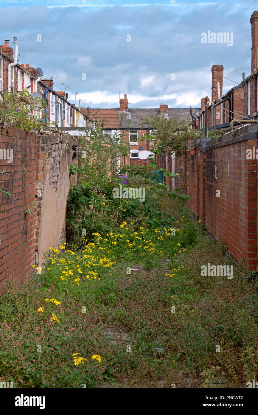Alleyway liverpool hi-res stock photography and images - Alamy