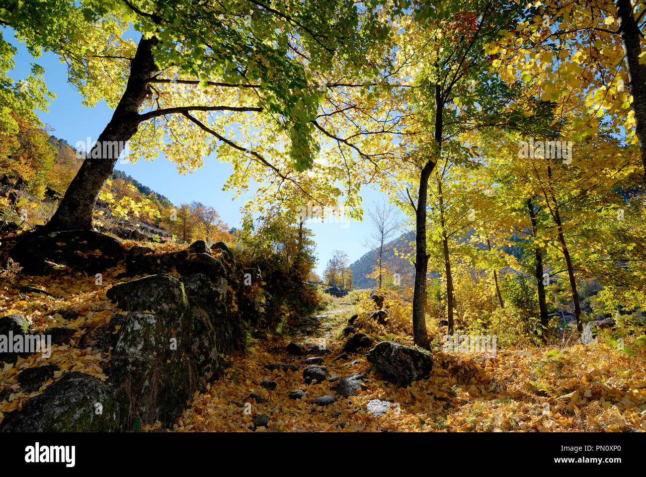 Medieval footpath in Manteigas. Serra da Estrela Nature Park, Portugal ...
