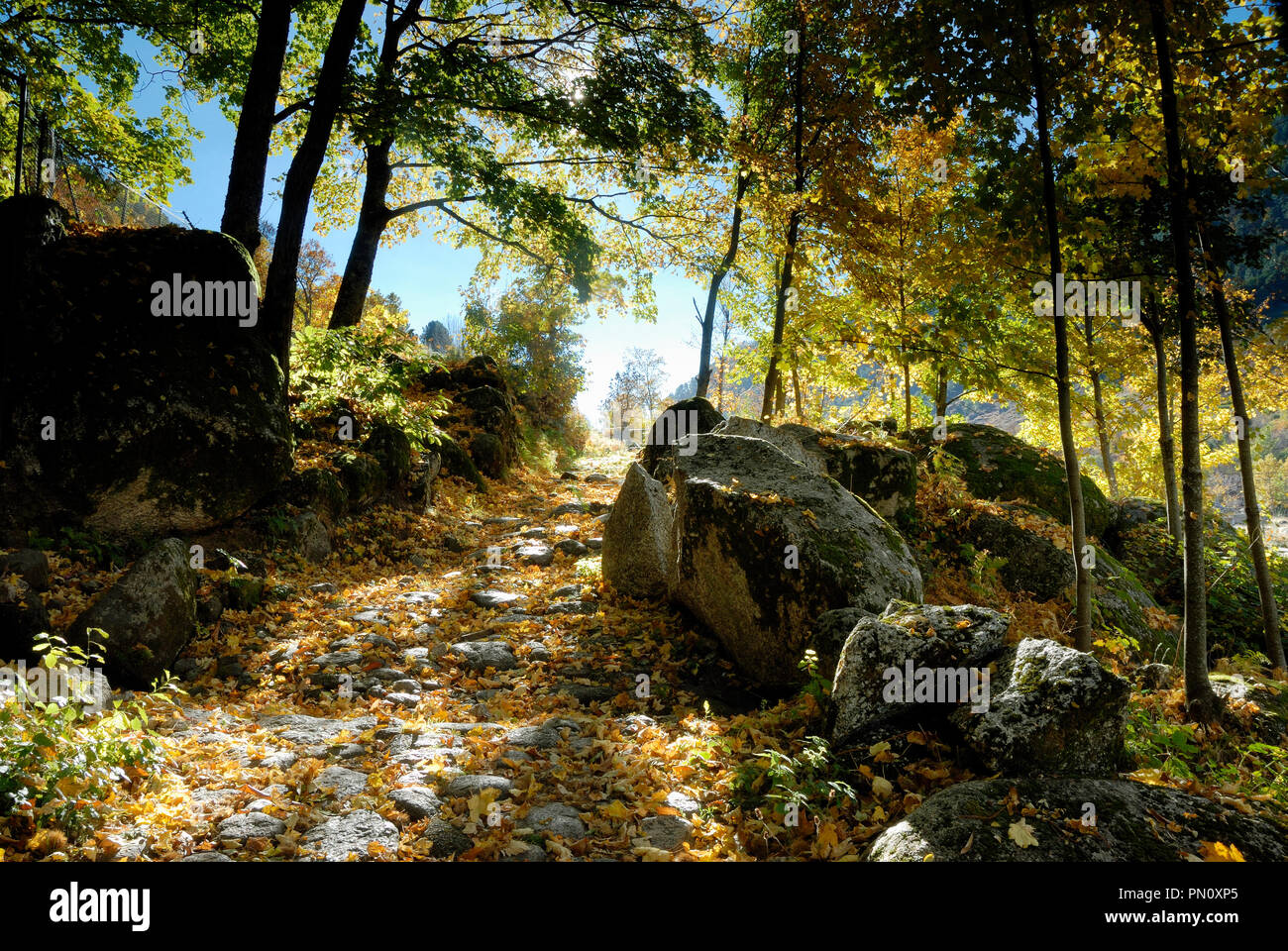 Medieval footpath in Manteigas. Serra da Estrela Nature Park, Portugal ...