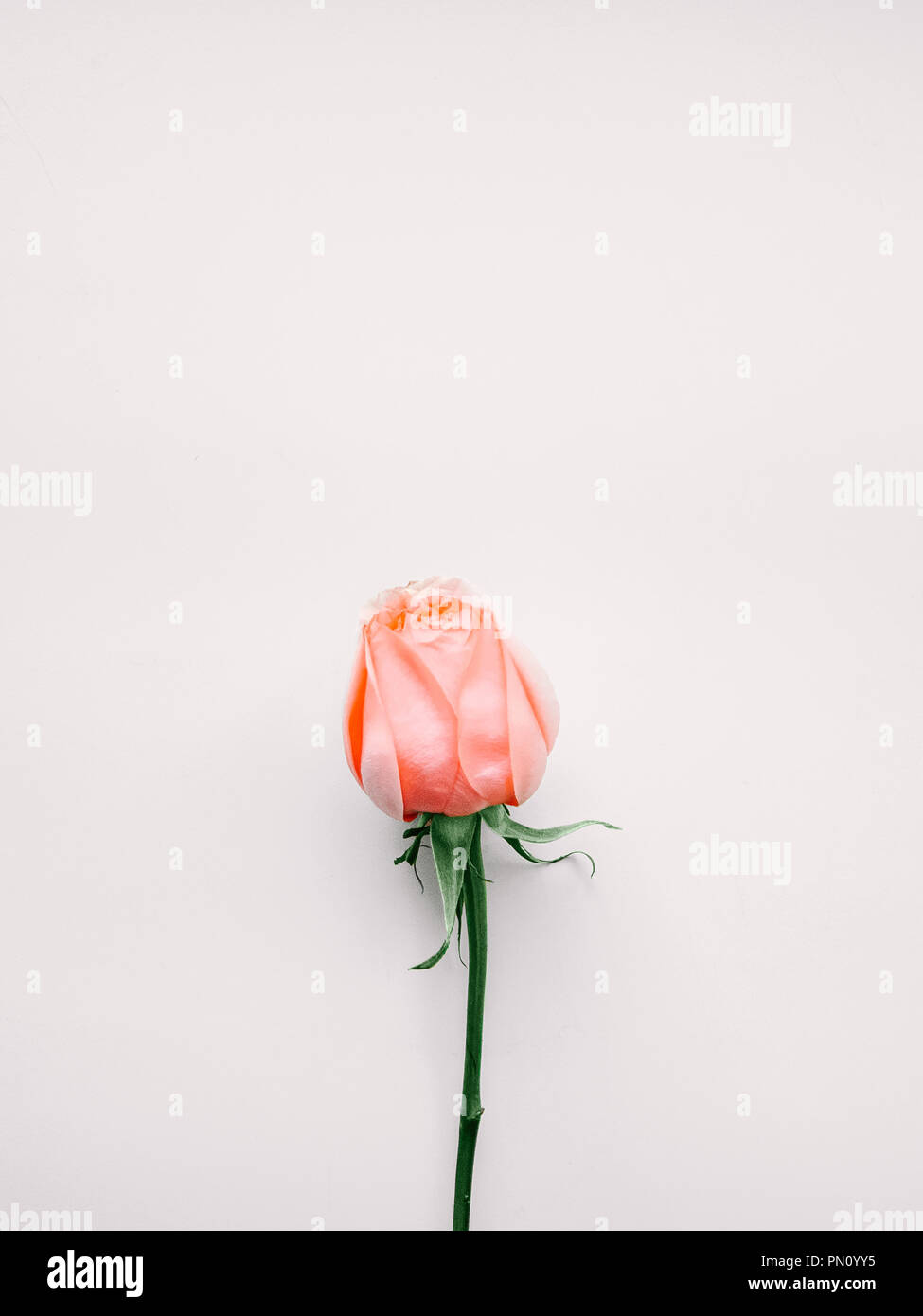 Flat style top view hi-res stock photography and images - Alamy