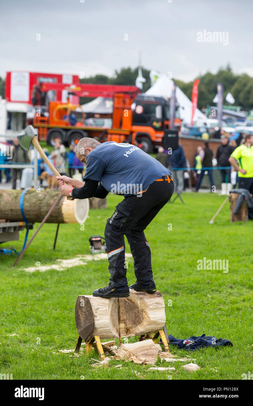 Wood chopping competition hi-res stock photography and images - Alamy