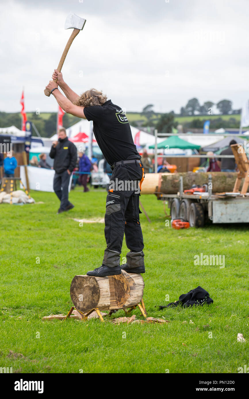 Lumberjacks competing in the log chopping competition at the ...