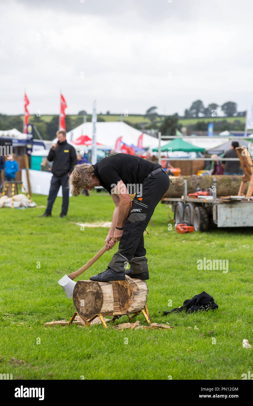 Wood chopping competition hi-res stock photography and images - Alamy
