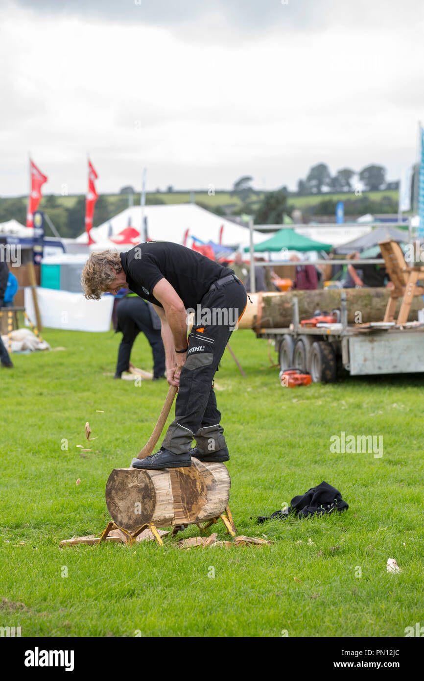 Wood chopping competition hi-res stock photography and images - Alamy