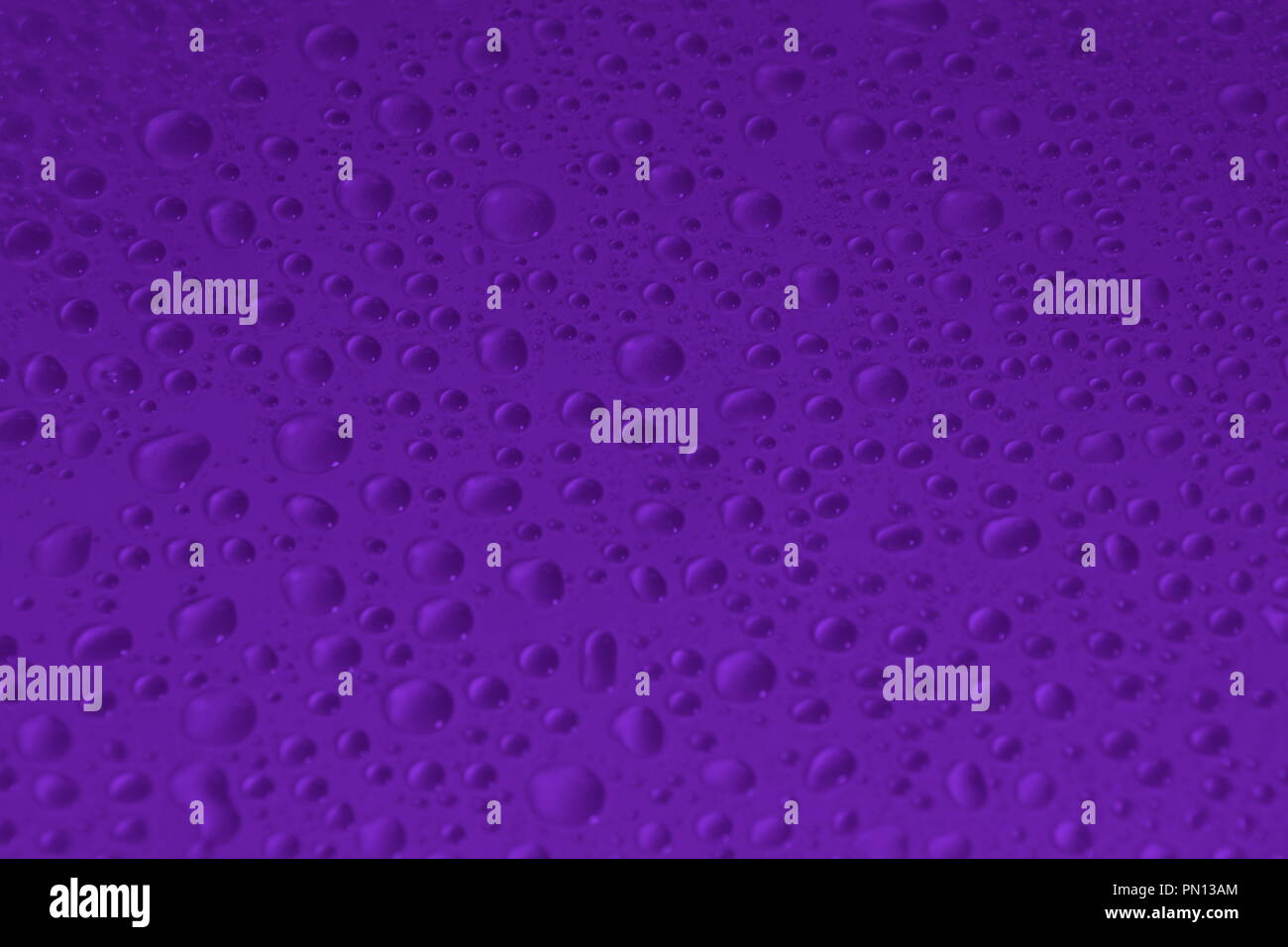 water drops on violet color background texture close-up Stock Photo - Alamy