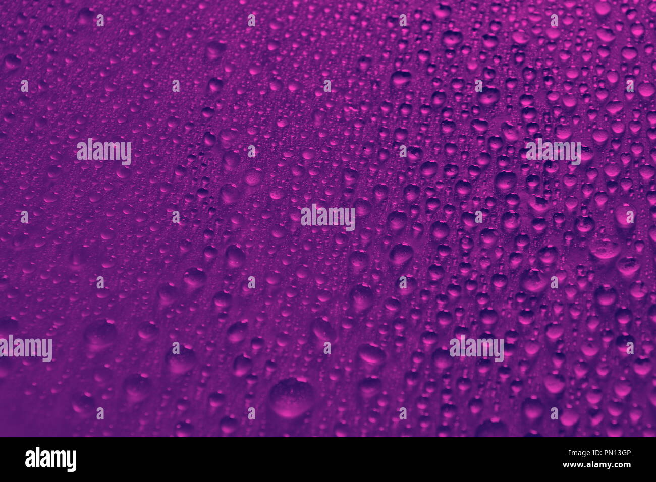 water drops on violet color background texture close-up Stock Photo - Alamy
