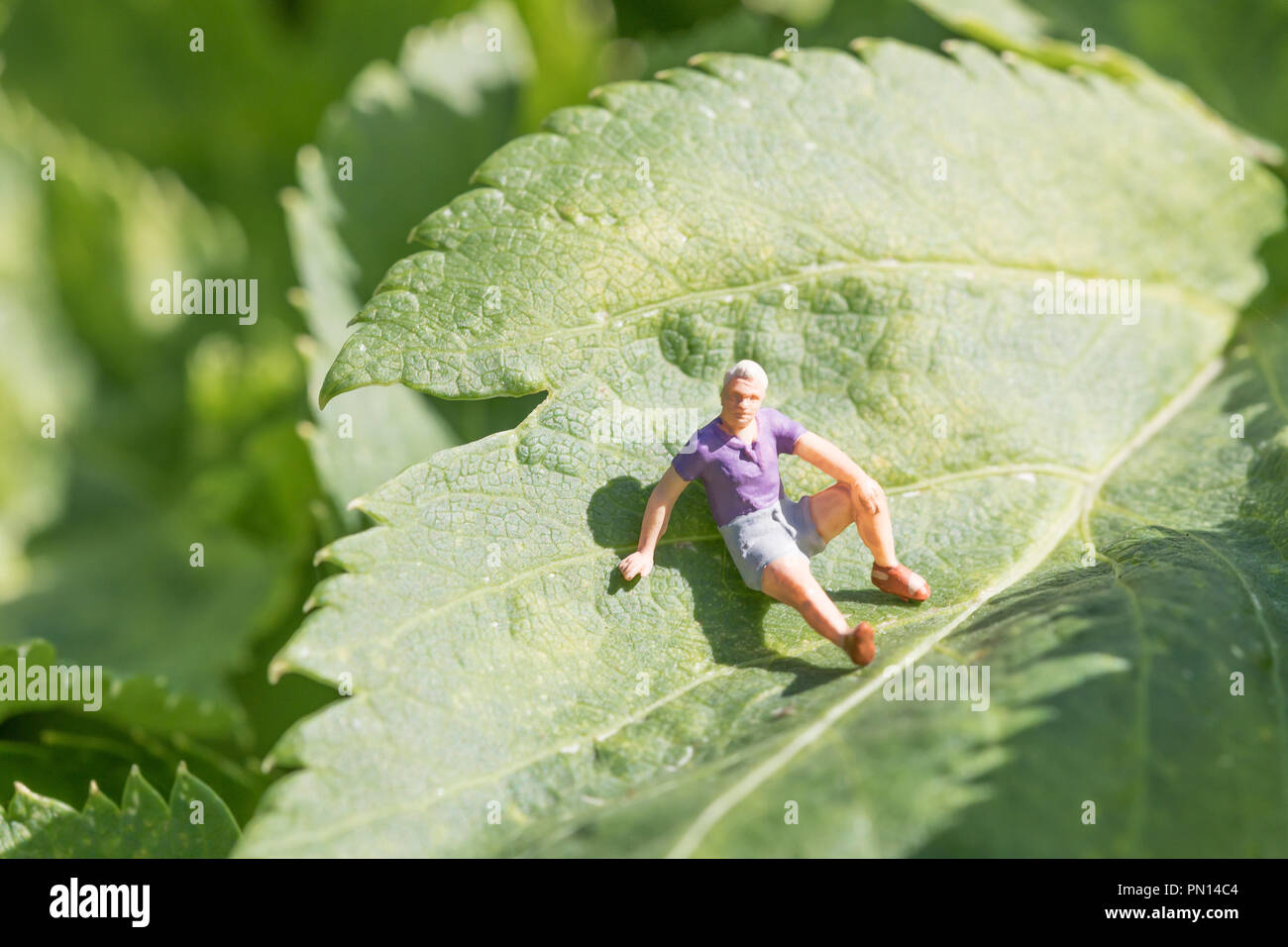 Leaf man hi-res stock photography and images - Alamy