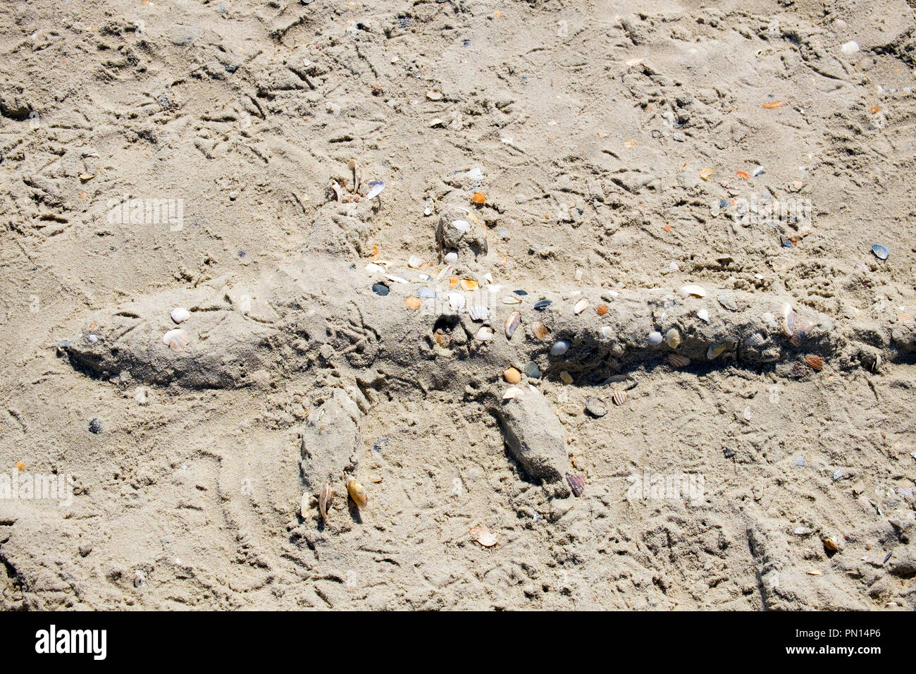 Crocodile sand on sea hi-res stock photography and images - Alamy