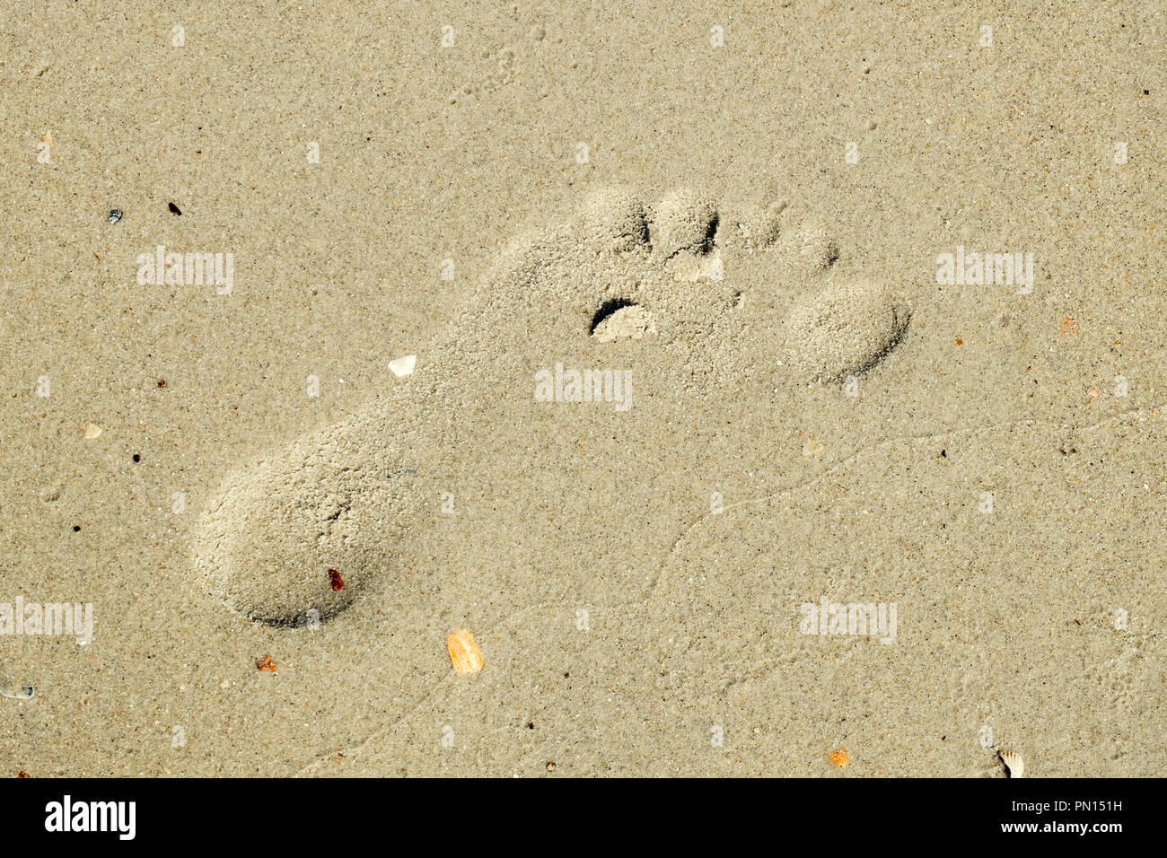 Trace of human foot on the wet sand beach Stock Photo - Alamy