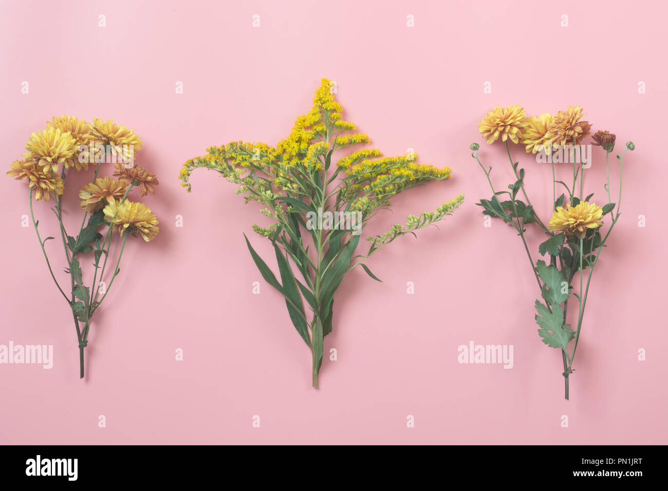 Almost floral pattern hi-res stock photography and images - Alamy