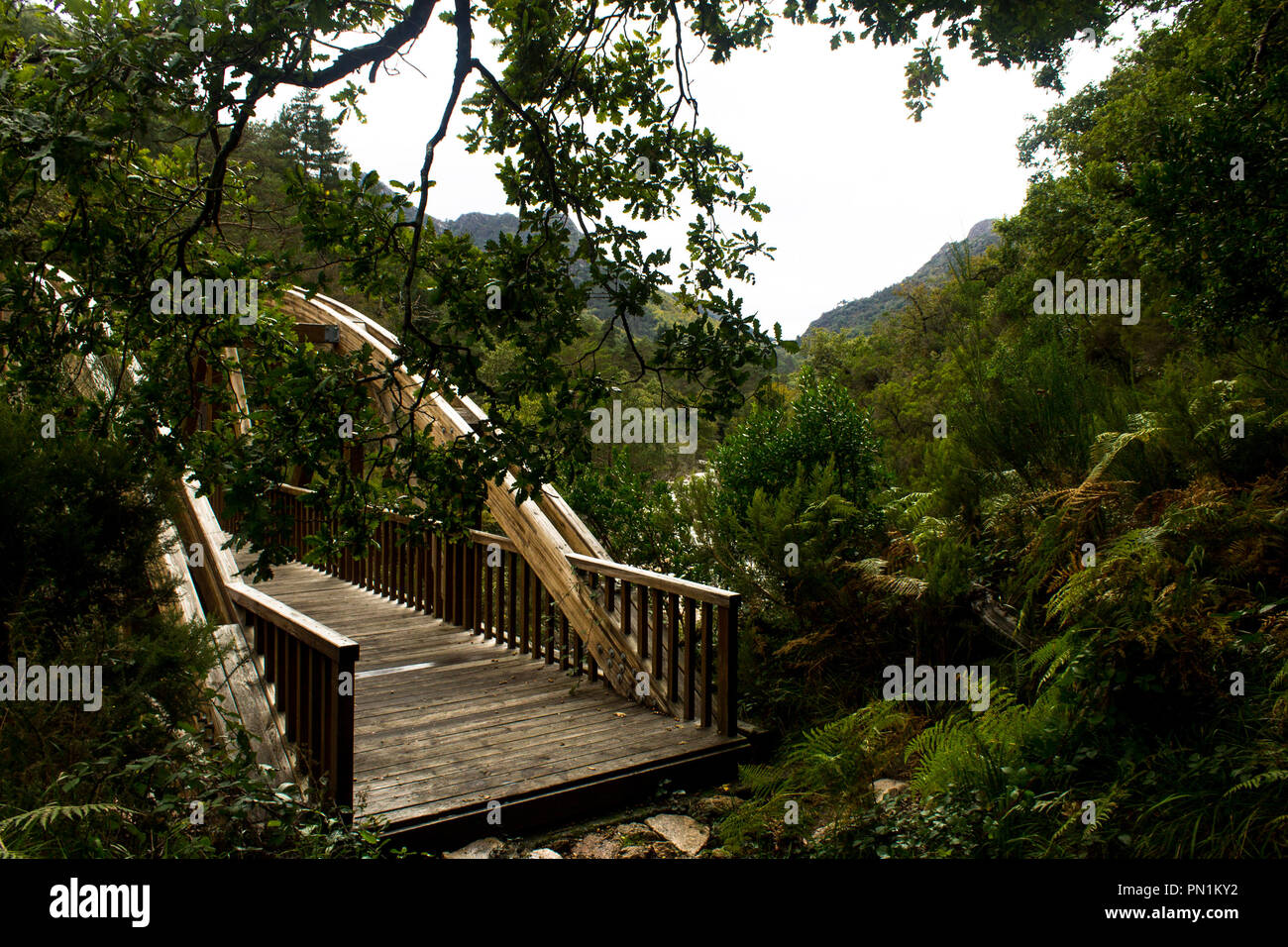 Wooden bridge stands hi-res stock photography and images - Alamy