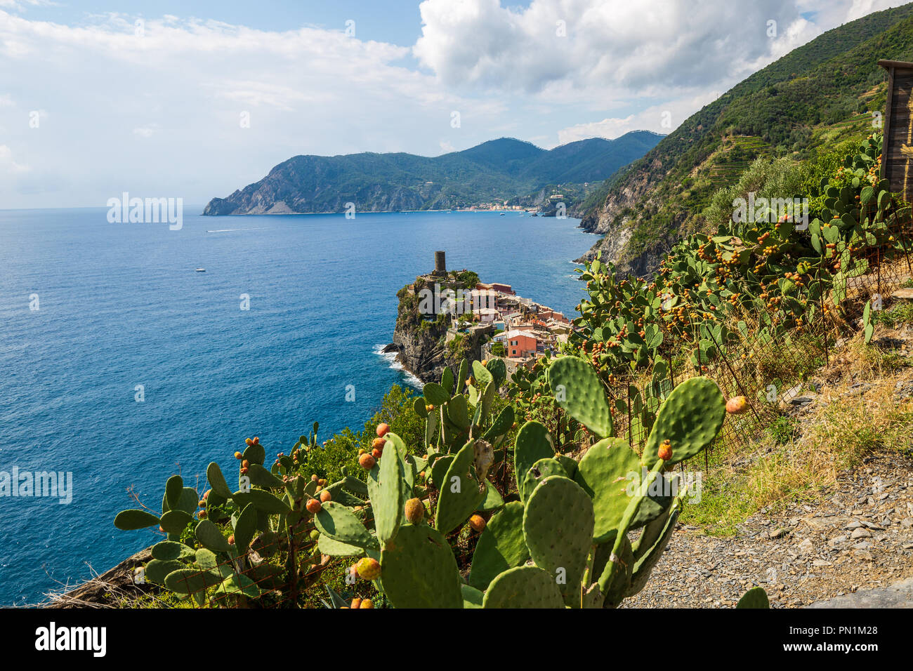 a little village built on the coast line of the cinque terre national ...