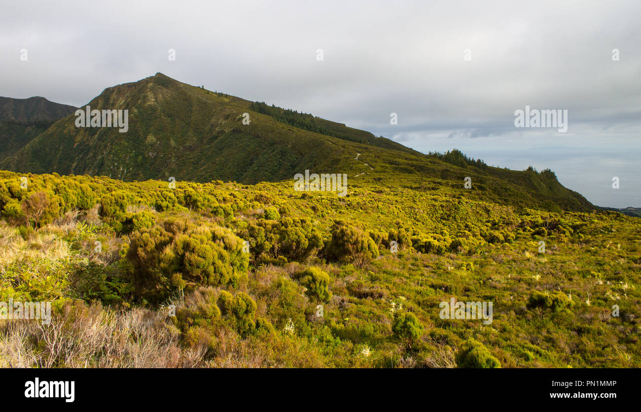 Path along a volcanic hill Stock Photo - Alamy