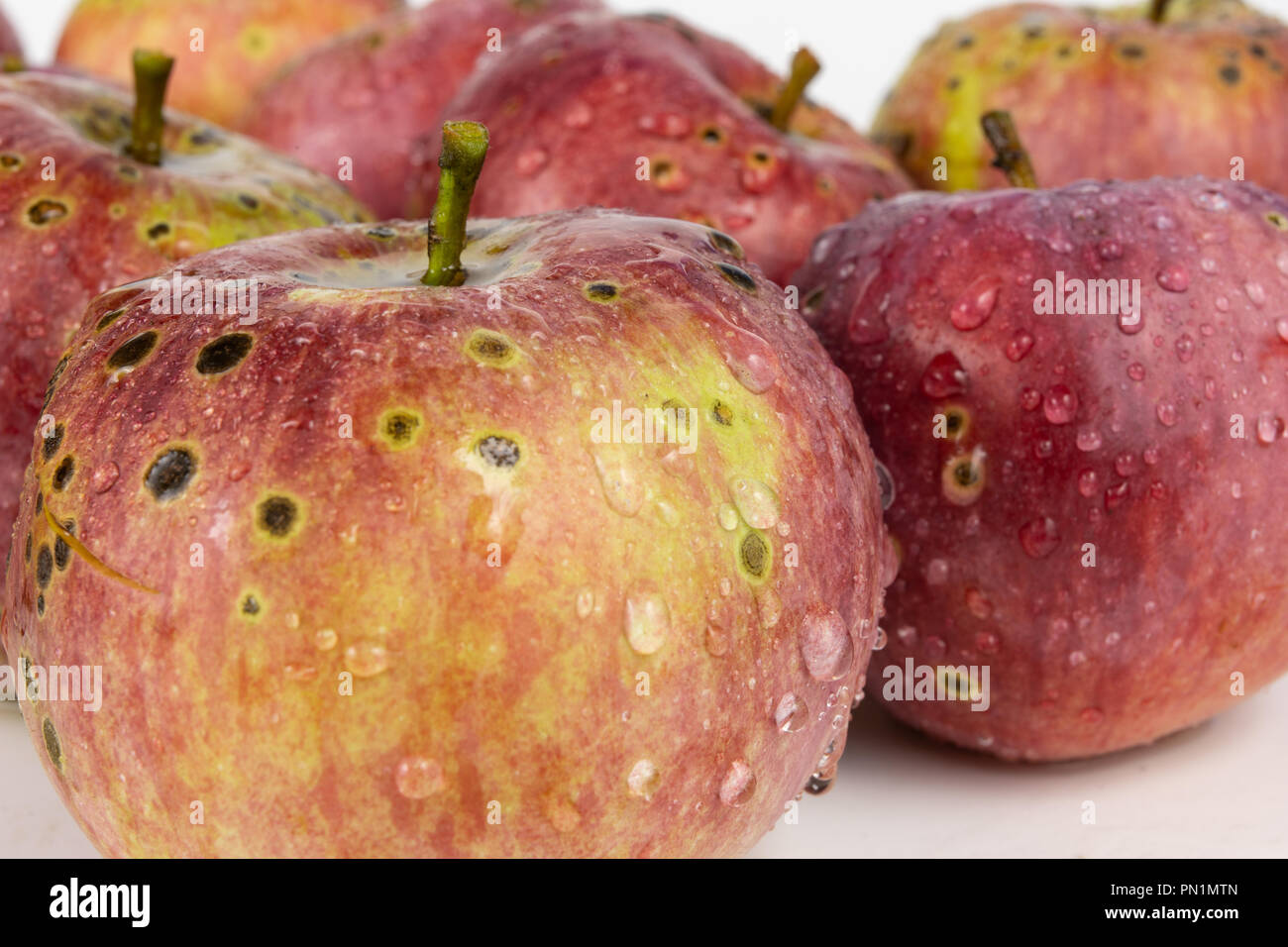 Tasty and ripe apple on the kitchen table. Sweet fruits from central ...