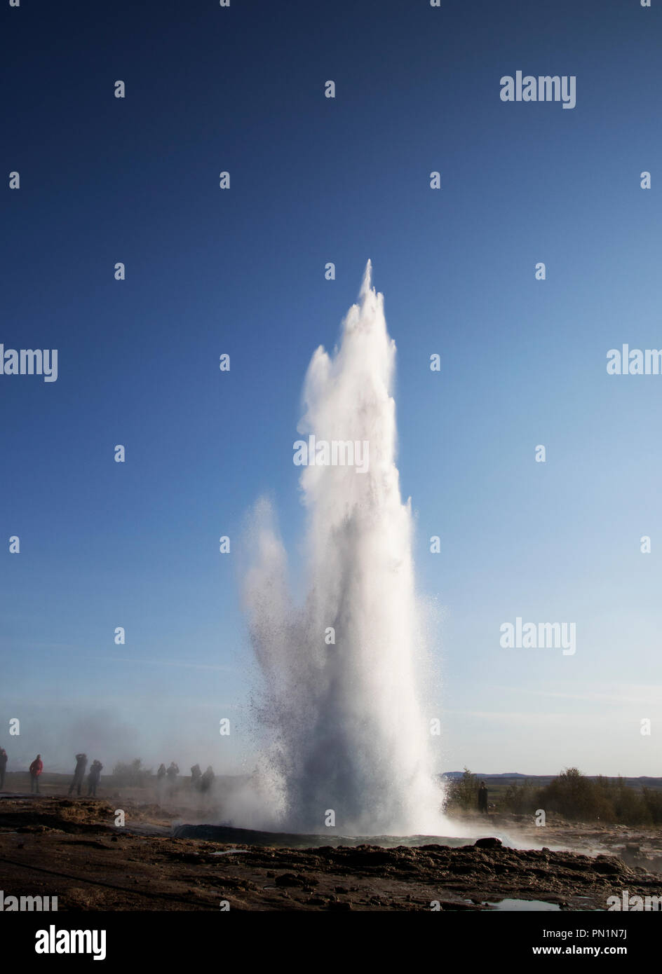 Exploding Water Geyser. Shooting stream of geothermal water. Tourist ...