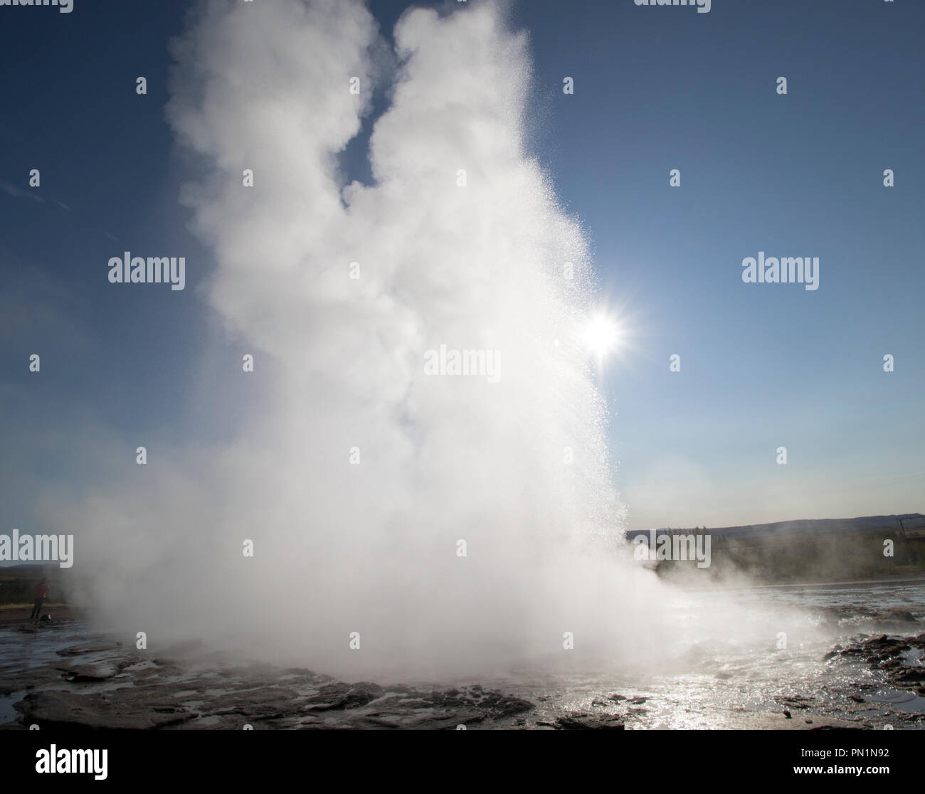 Icelandic Geyser Erupting Boiling Hot Geothermal Water. Dramatic vapor ...