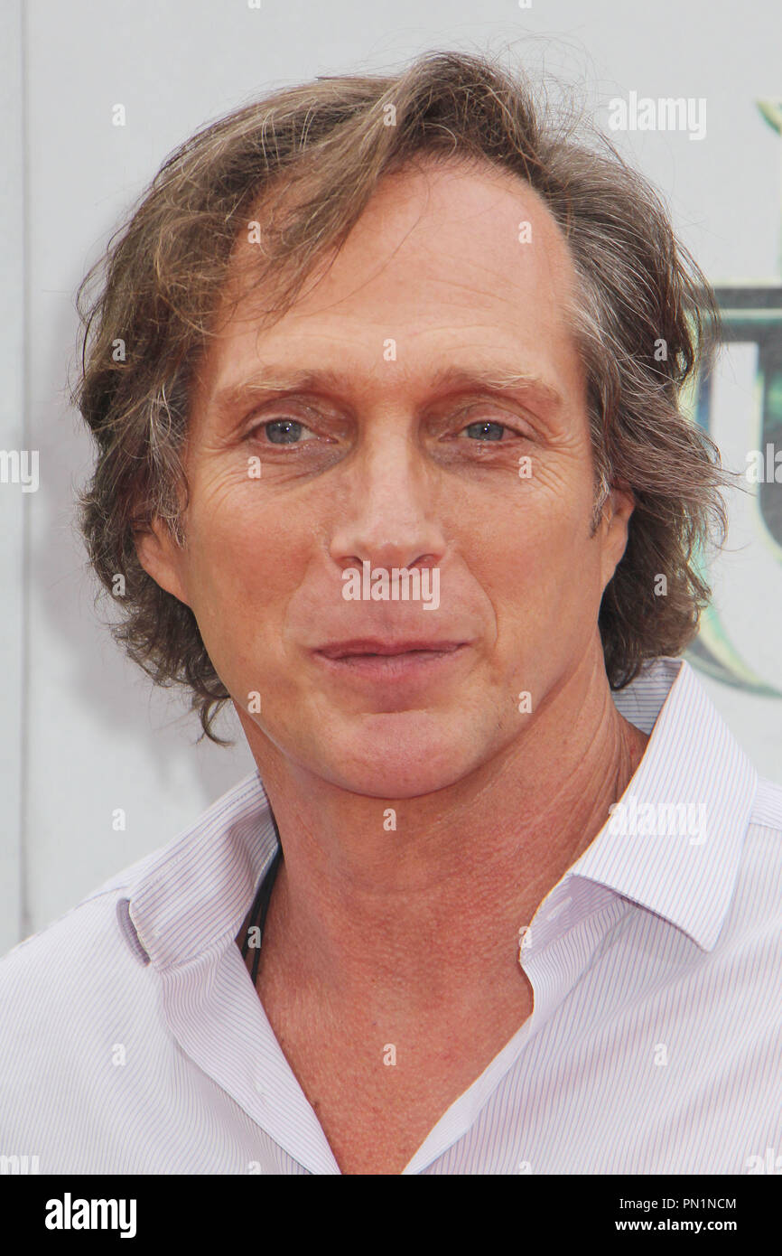 William Fichtner 08/03/2014 "Teenage Mutant Ninja Turtles" Premiere ...