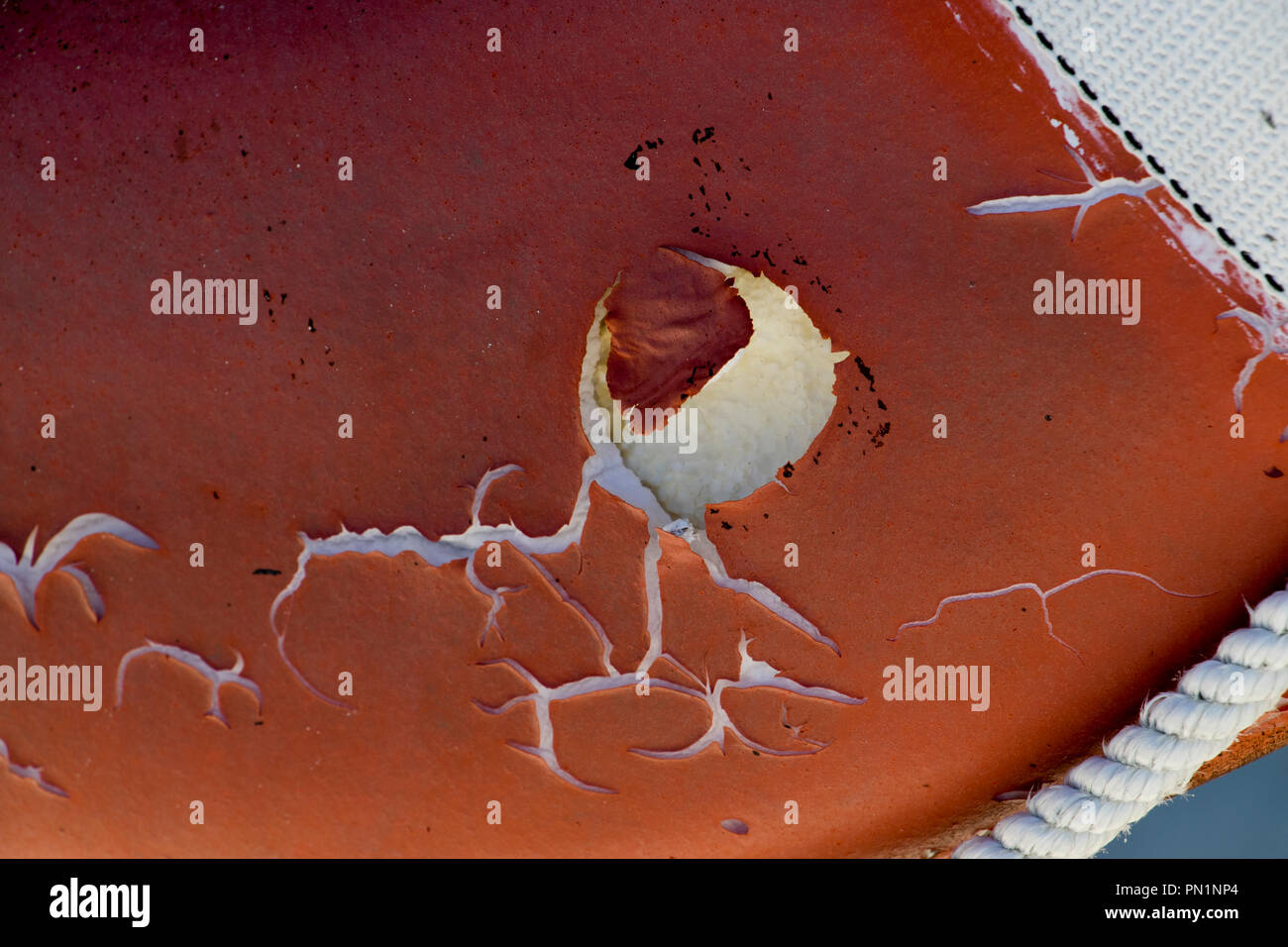 Aged lifeguard hi-res stock photography and images - Alamy
