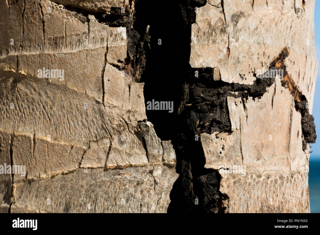 Broken wood texture hi-res stock photography and images - Alamy