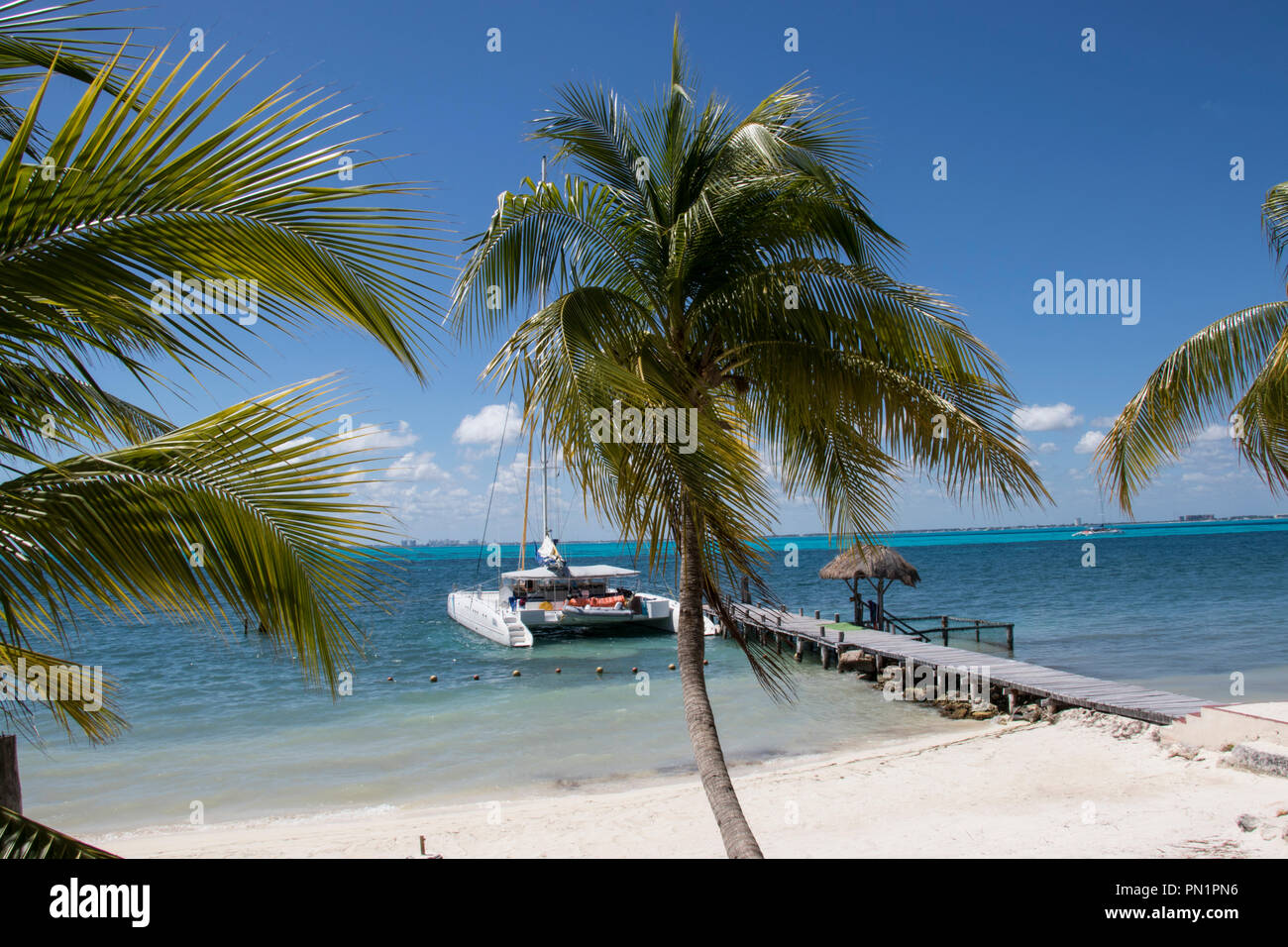 Palm trees and blue ocean water. Tropical summer vacation Stock Photo ...
