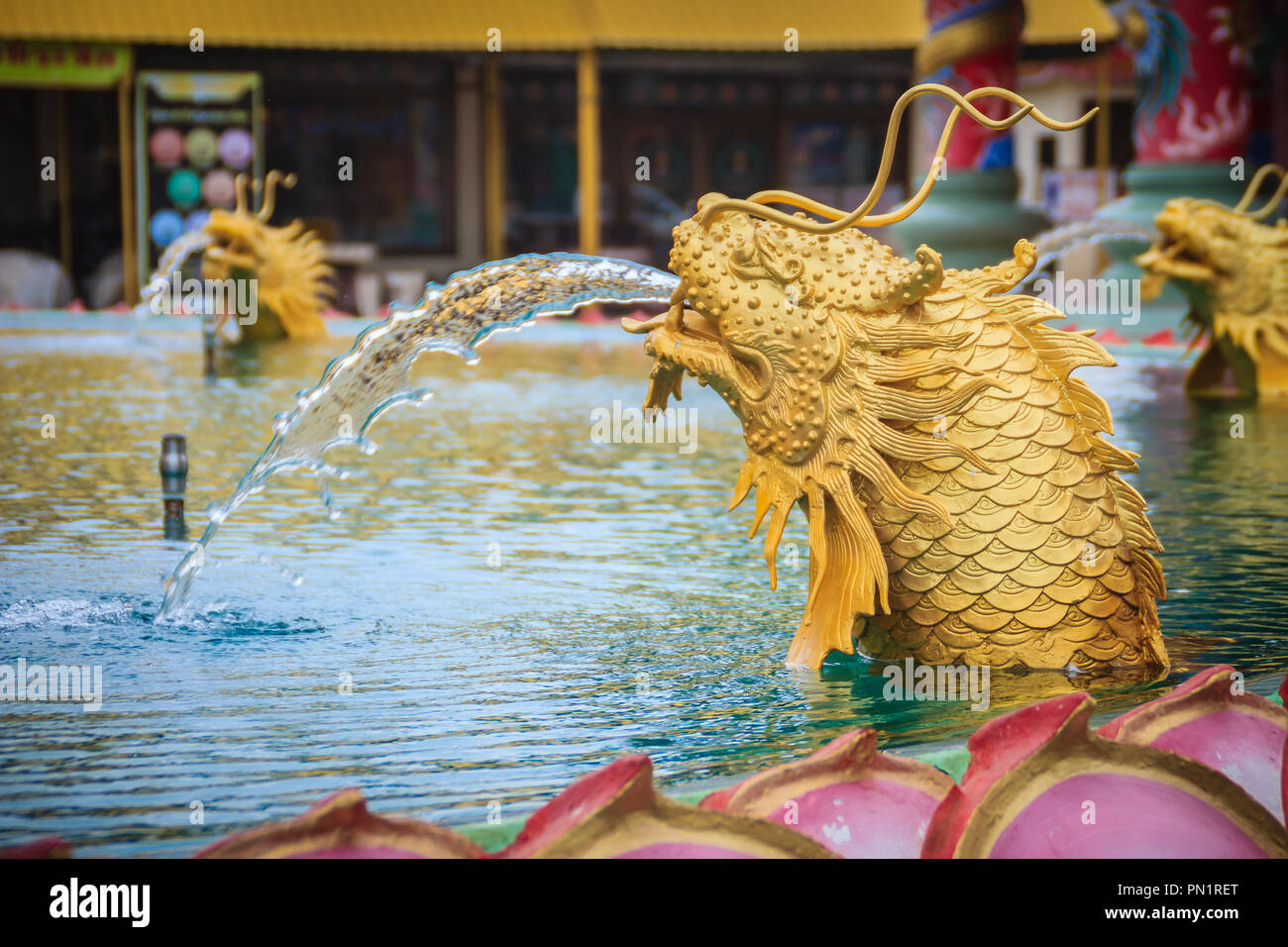 Statue of Chinese dragon fish spraying the water at the fountain in ...
