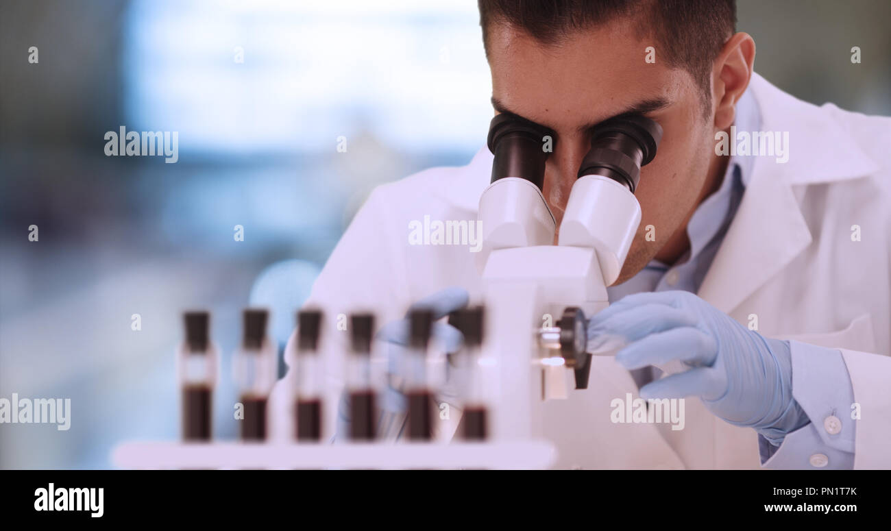 Hispanic male forensic scientist examining blood sample in lab Stock ...