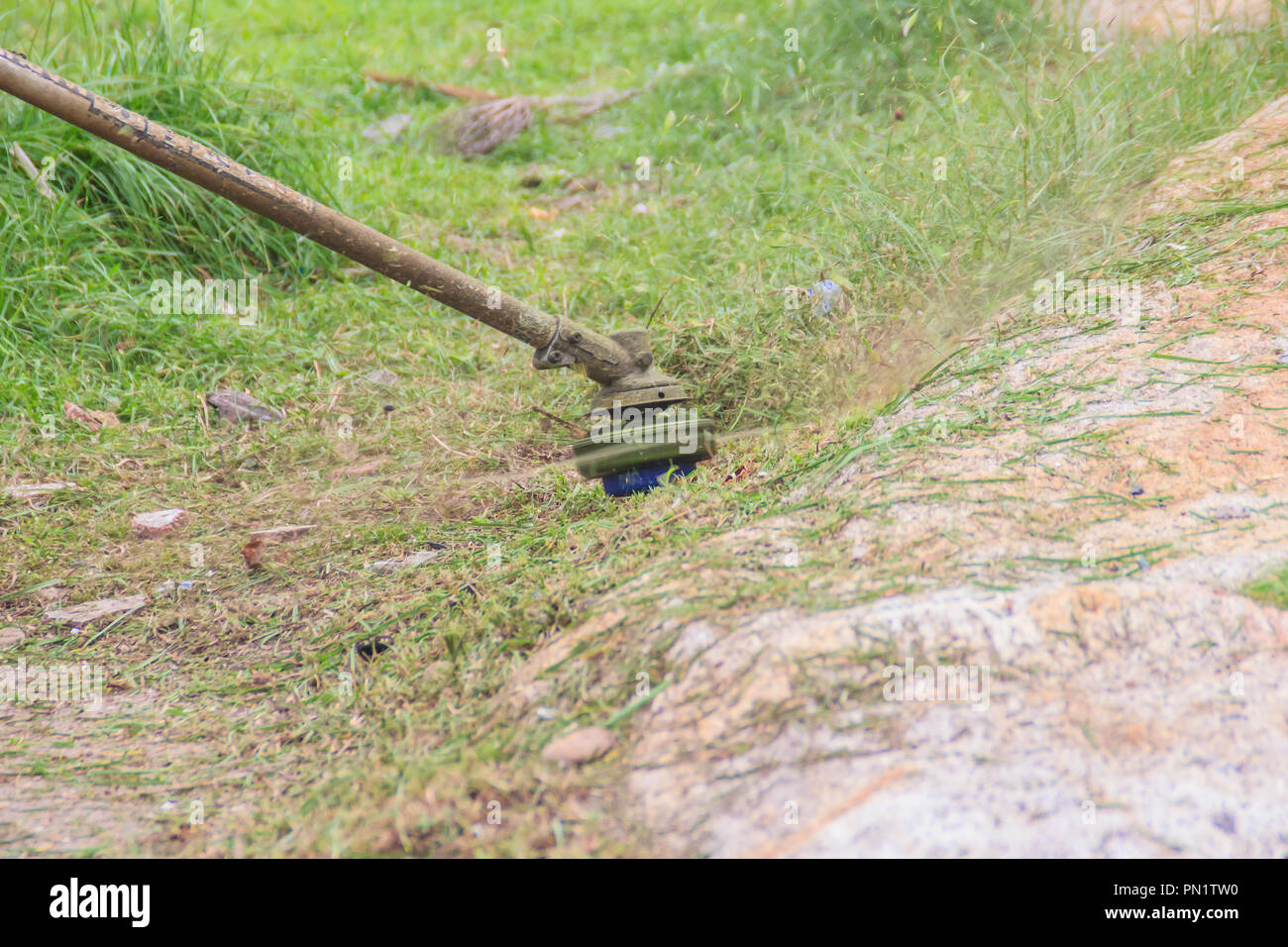 The gardener is mowing the grass with a trimming machine Stock Photo ...