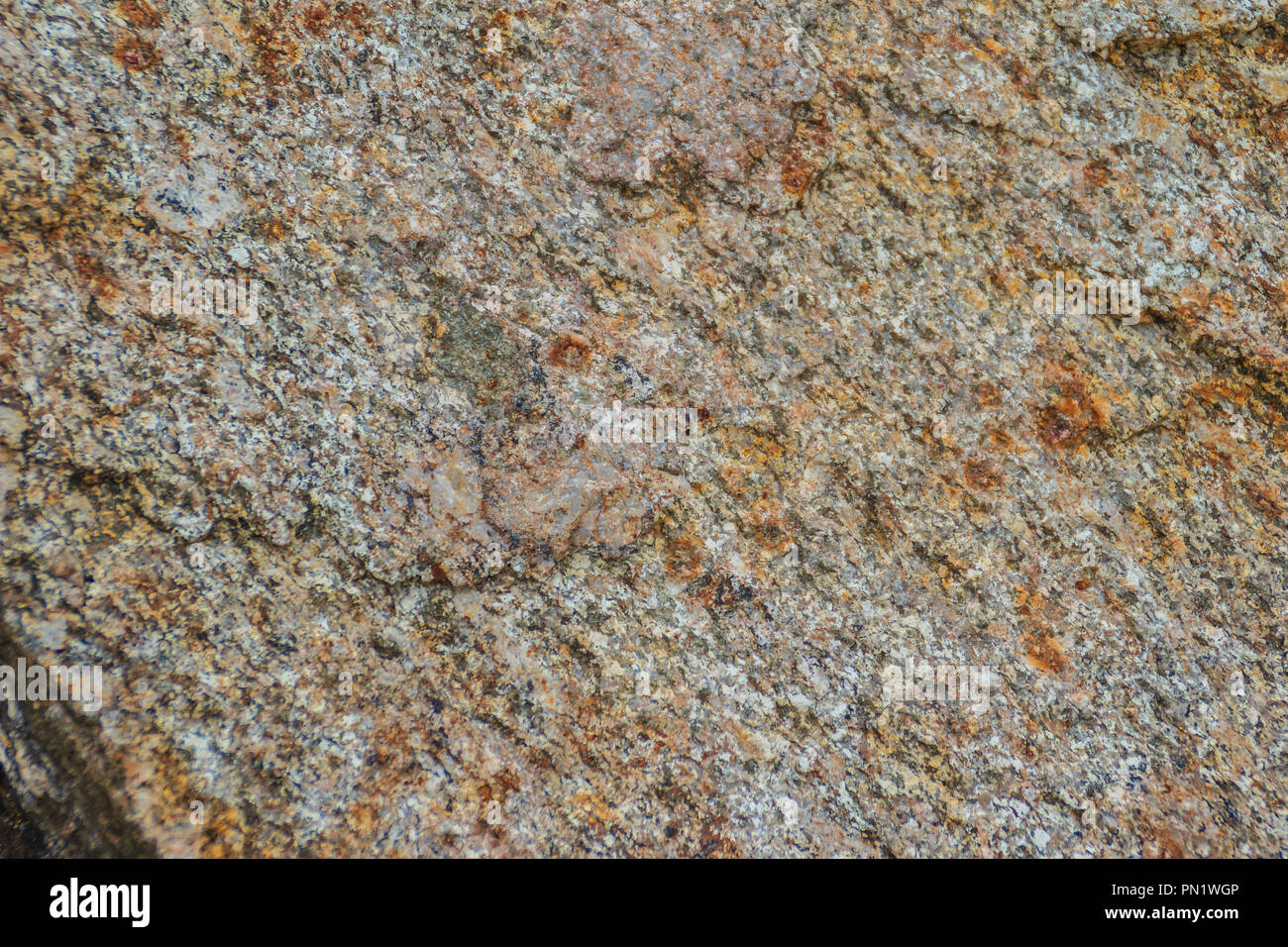 Background of mottled granite igneous rock. The texture of granite ...