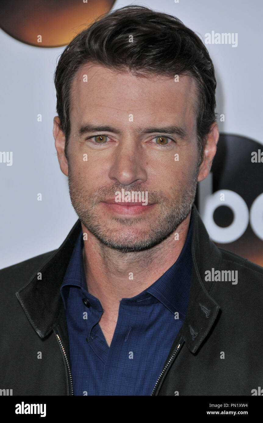 Scott Foley at the Disney ABC Television Group's TCA Winter Press Tour ...